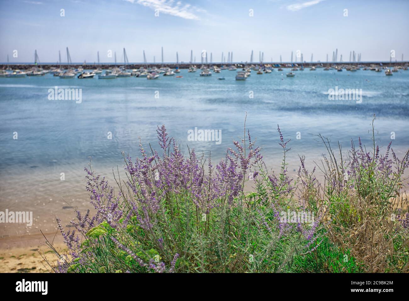 France vendee jard sur hi-res stock photography and images - Alamy