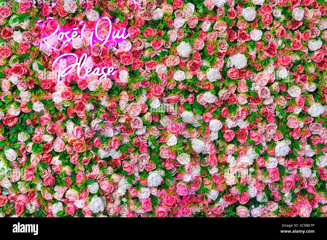 Roses, Oui please. Roses, yes please. Background made of artificial ...