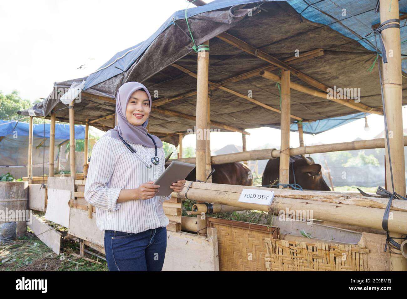 muslim veterinarian medical check up the goat at traditional farm Stock ...