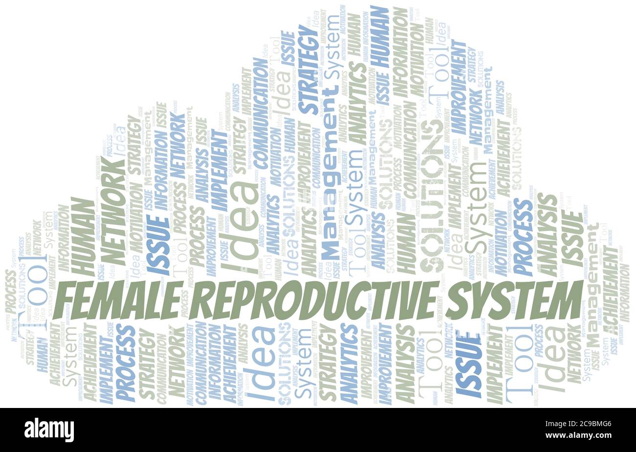 Female Reproductive System typography vector word cloud. Wordcloud ...