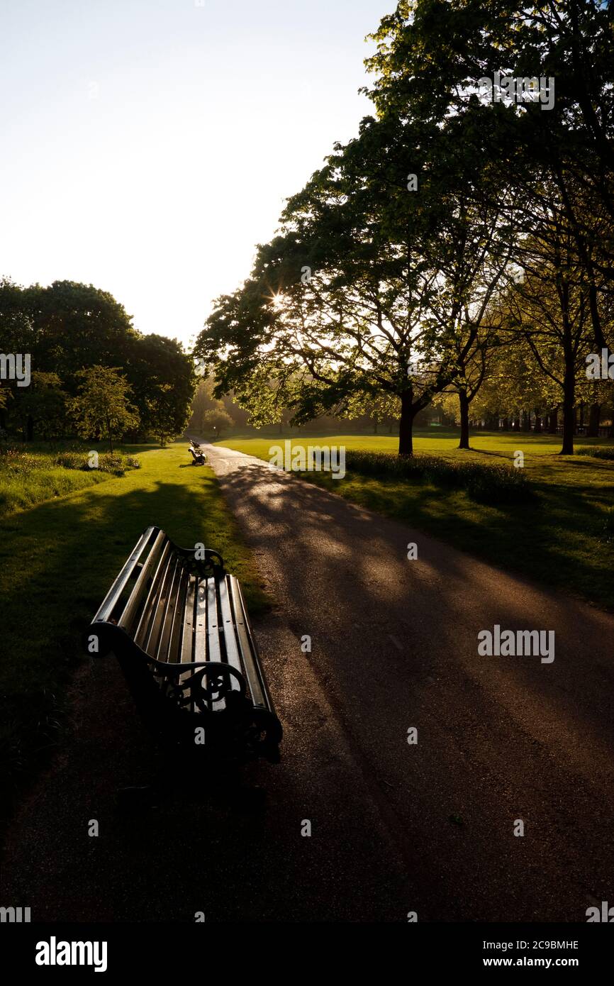 Uk park path tree hi-res stock photography and images - Alamy