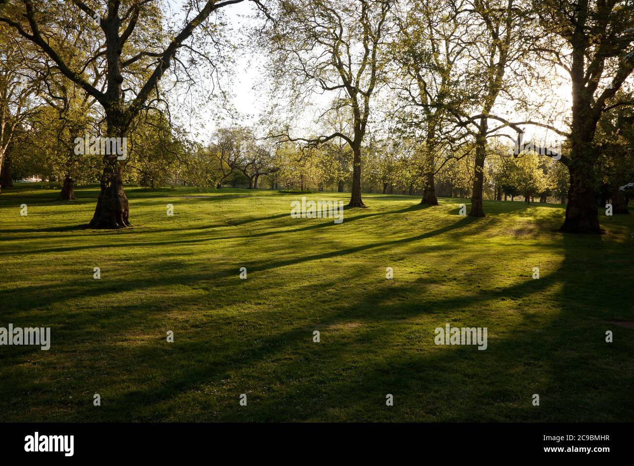 Early morning park london hi-res stock photography and images - Alamy