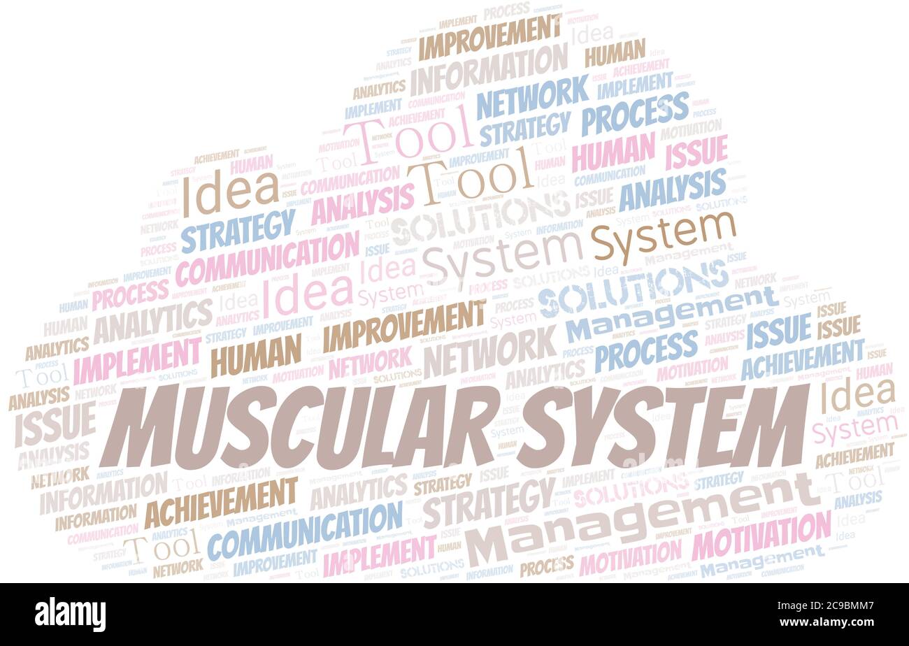 Muscular System typography vector word cloud. Wordcloud collage made ...