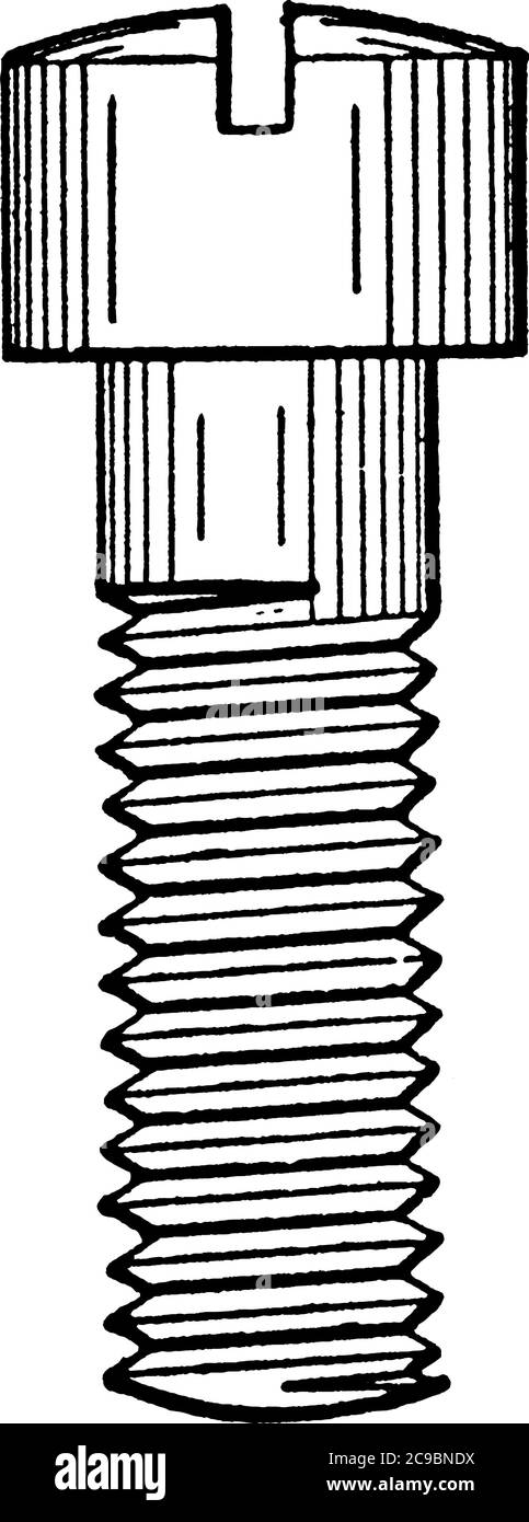 Machine Screw is a short, slender, sharp-pointed metal pin with a round ...