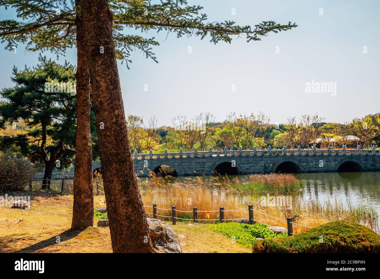Pond and stone bridge with trees at The Independence Hall of Korea in ...