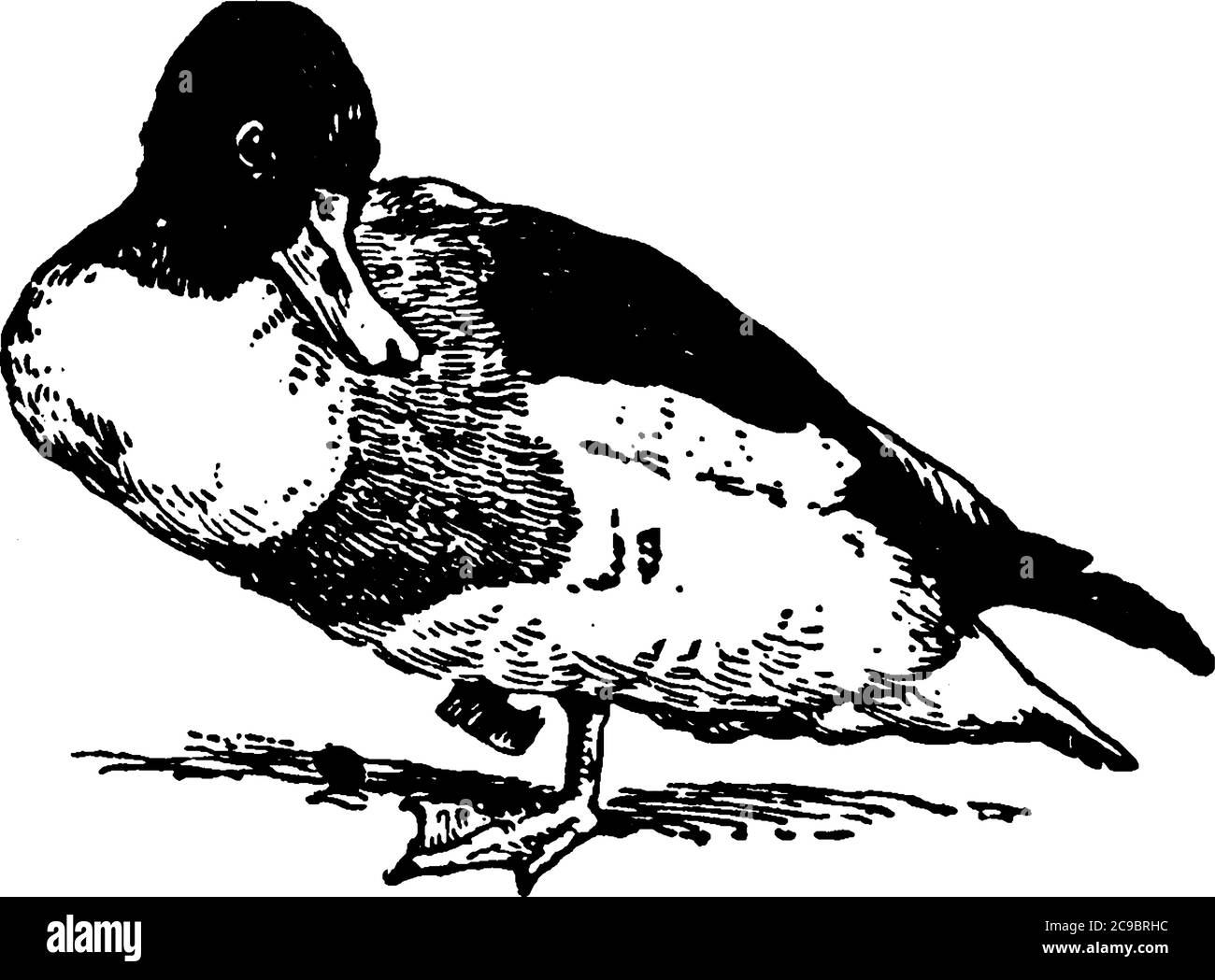 Our resides Black and White Stock Photos & Images - Alamy