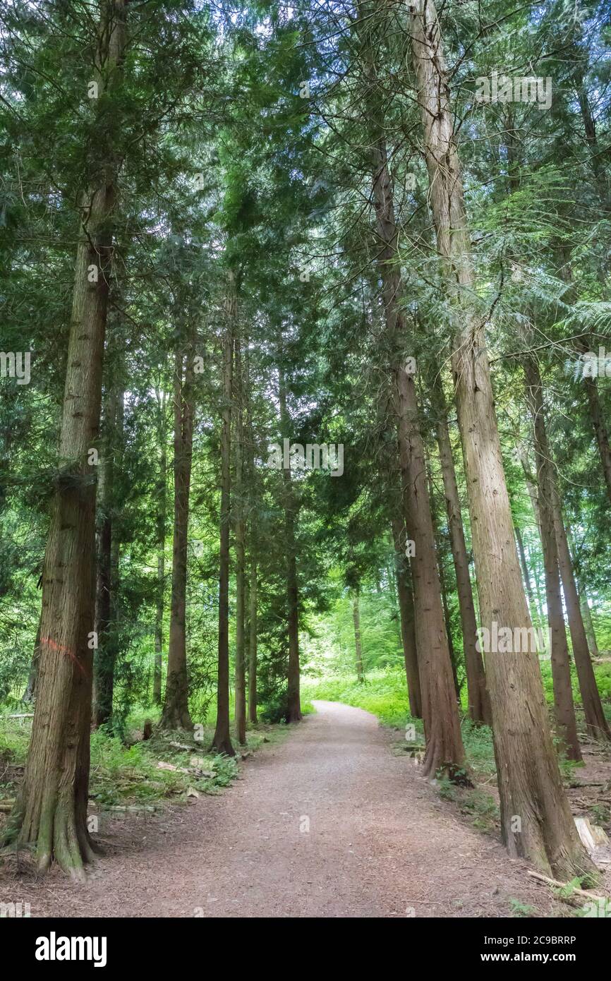 Wupperpath hi-res stock photography and images - Alamy