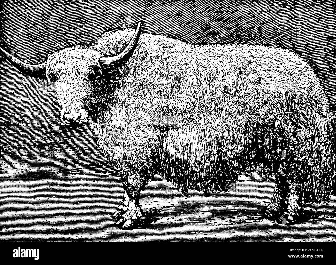 Thick coat Stock Vector Images - Alamy