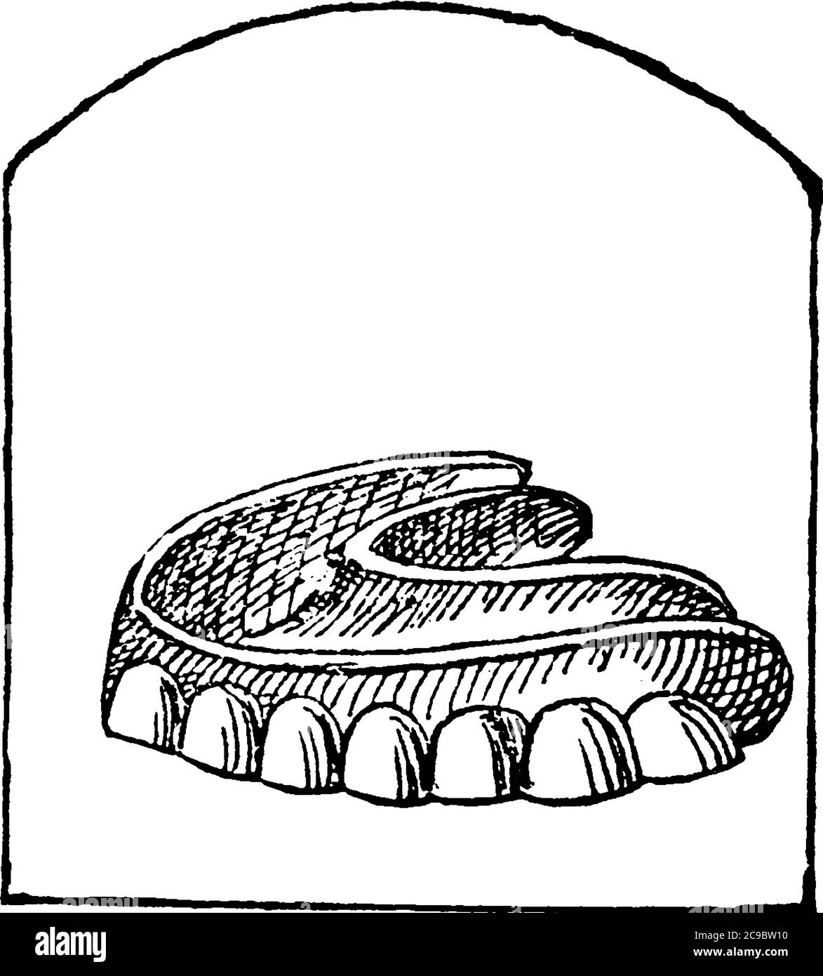 A Teeth set for chewing food, vintage line drawing or engraving ...