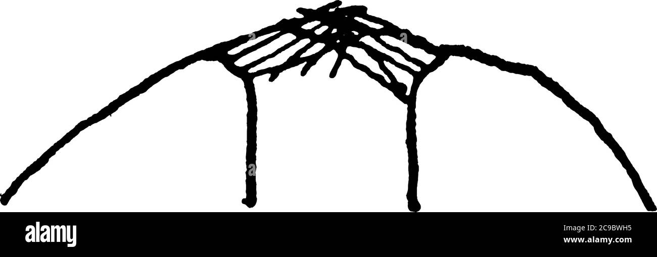 Insects has spiracles on their exoskeleton which helps air to enter in ...