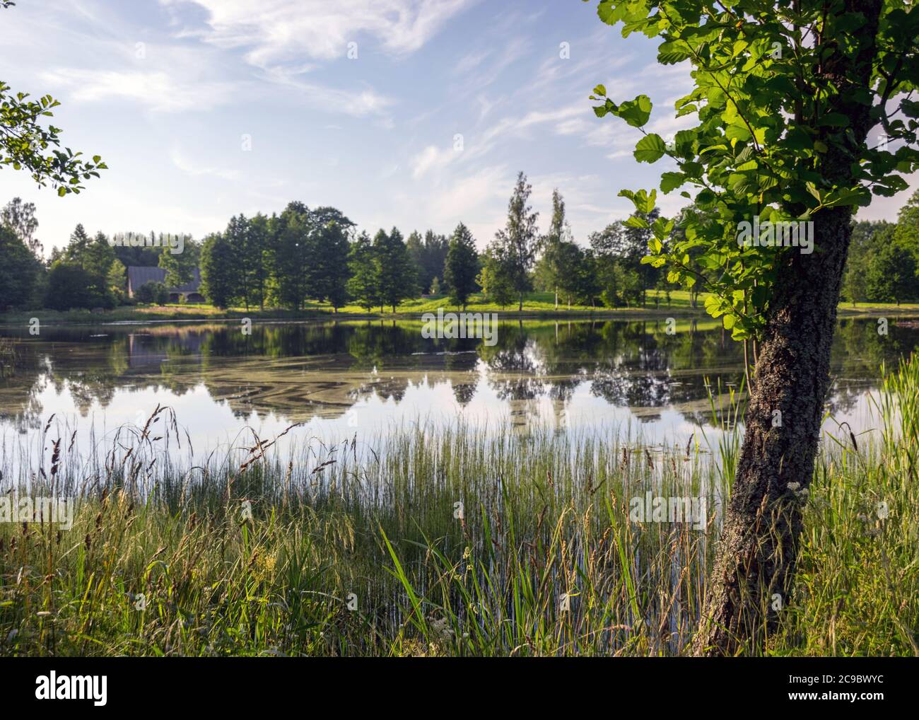 Landscape with a pond hi-res stock photography and images - Alamy