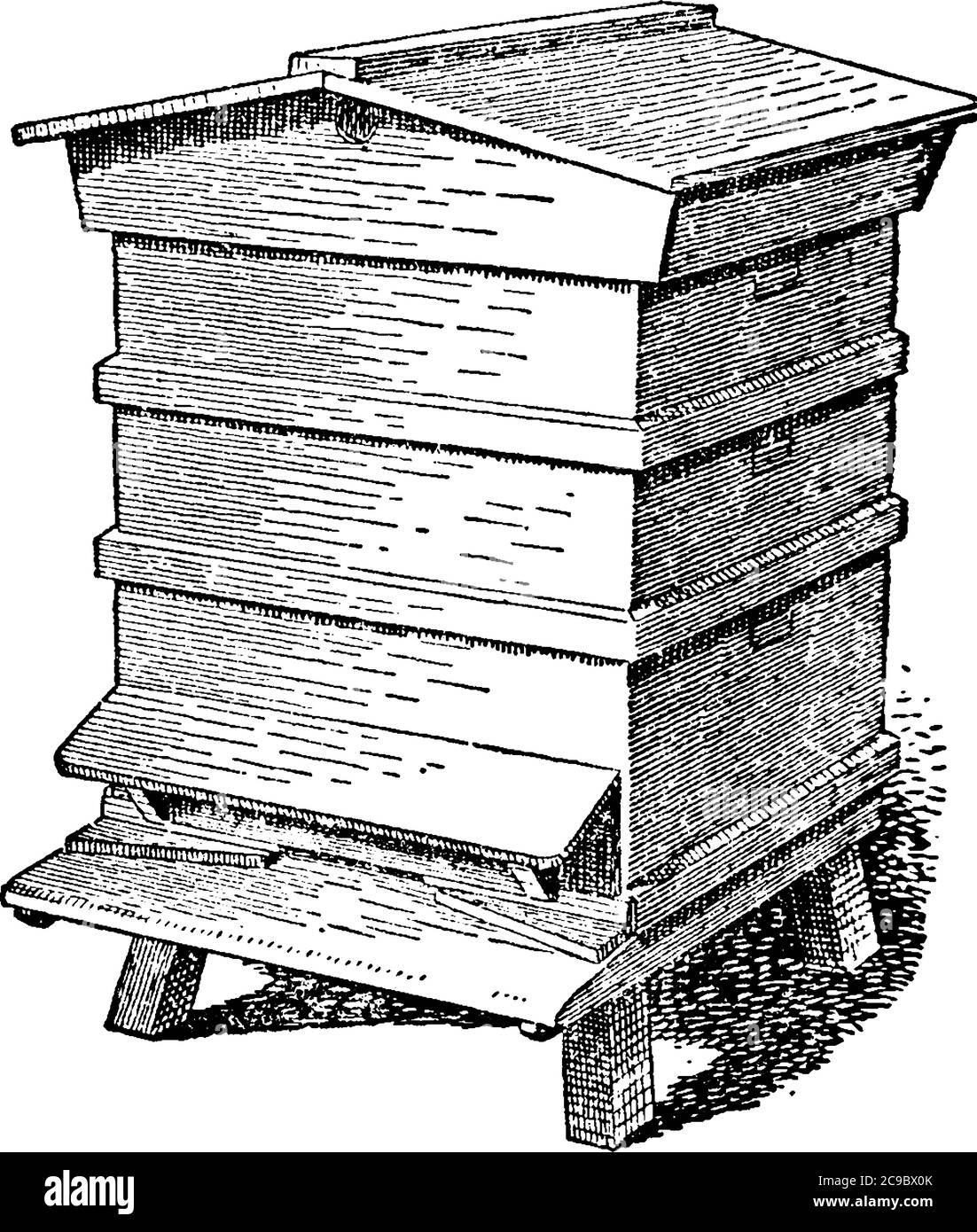 Double d Stock Vector Images - Alamy