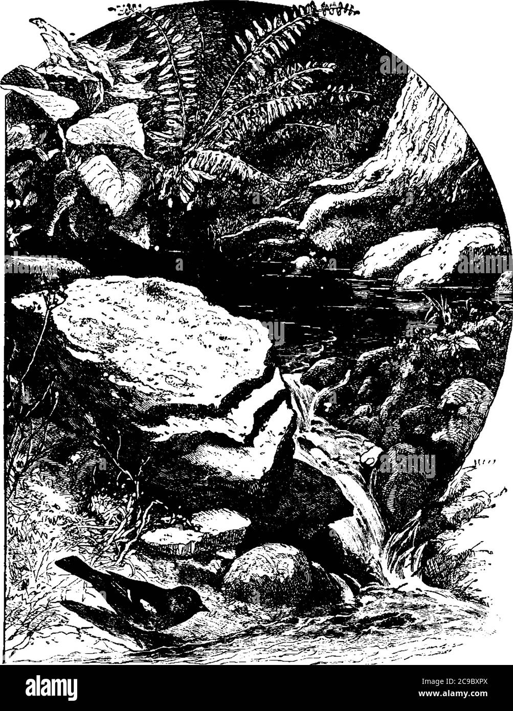 A typical representation of the spring season with a bird in front of ...