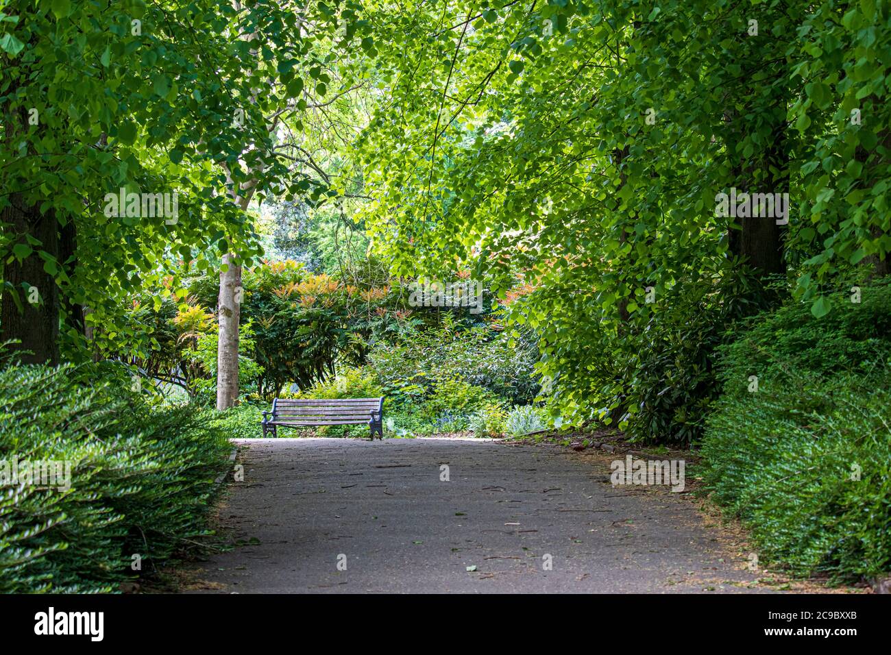 Priory Park,Dudley-Beautiful English park, sunny day, green grass ...
