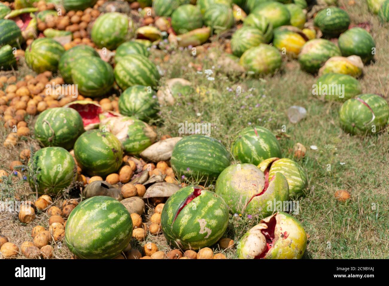 Rotten banana man hi-res stock photography and images - Alamy