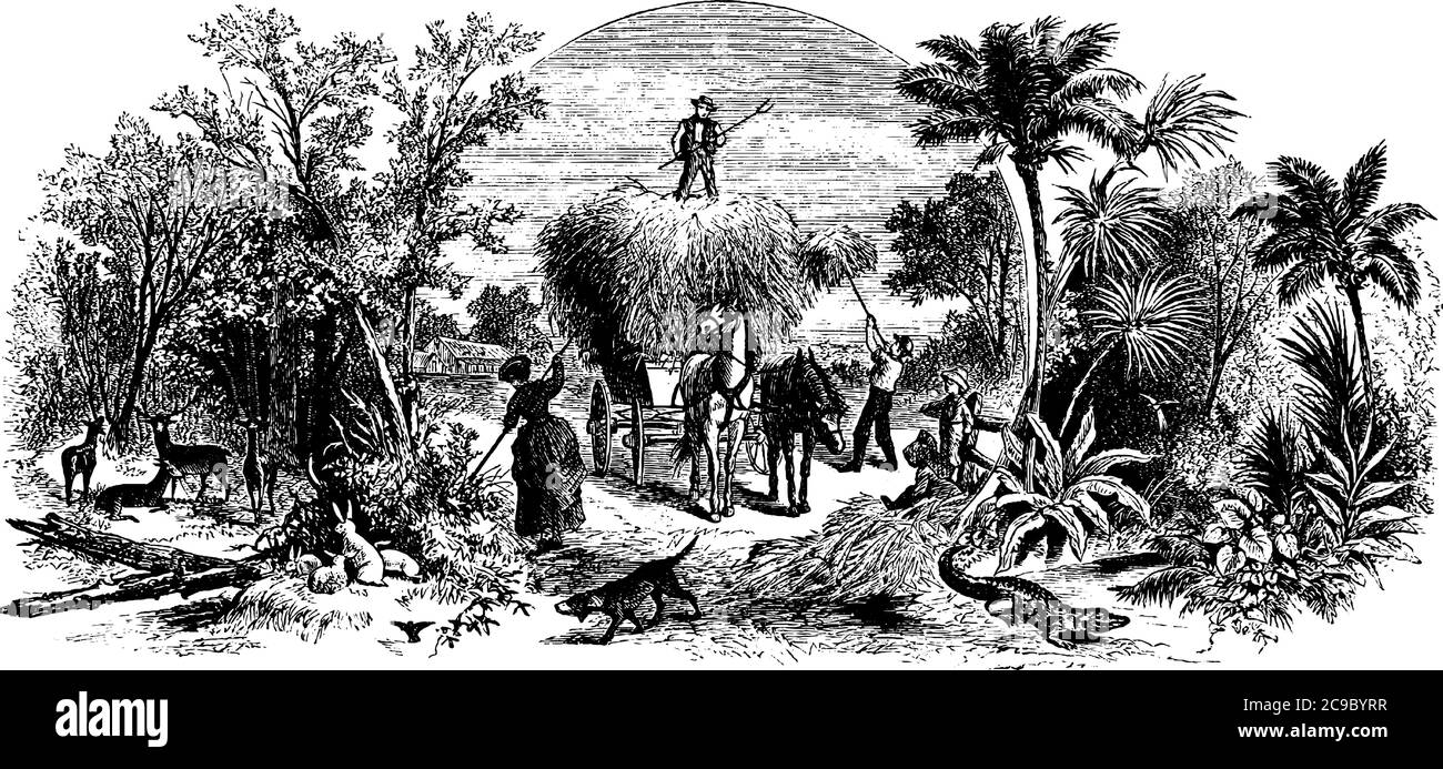 Image showing organic life of people in forest who are working in their ...