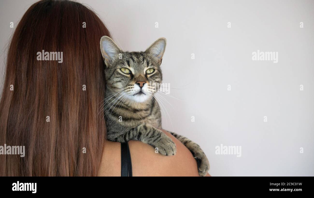 The woman holds the cat over her shoulder Stock Photo - Alamy