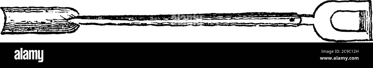 May garden plant Black and White Stock Photos & Images - Alamy