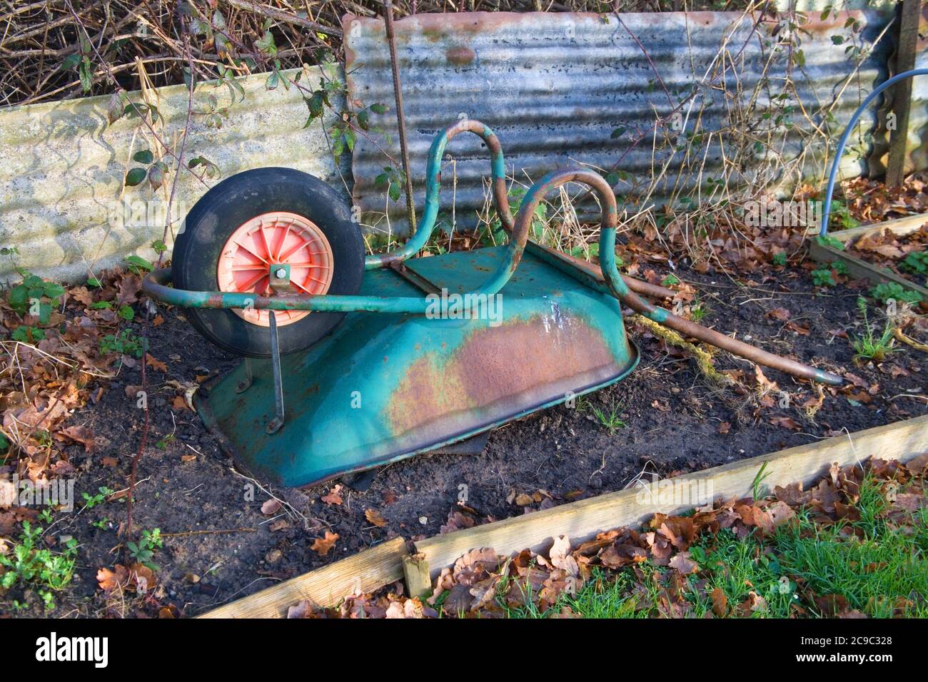 old wheel barrow in burgess hill allotment in febuary Stock Photo - Alamy