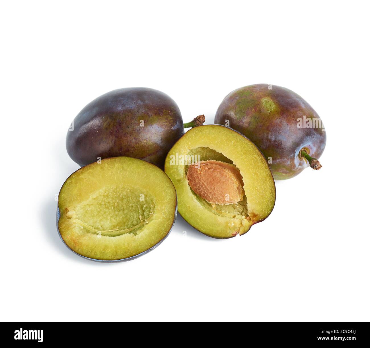 Oblong bone Cut Out Stock Images & Pictures - Alamy