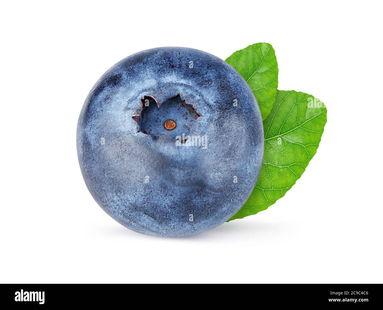 blueberry with leaves isolated on white background. Clipping path Stock ...