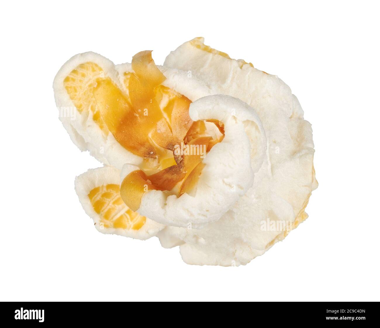 macro of an one popcorn isolated on white background with clipping path ...