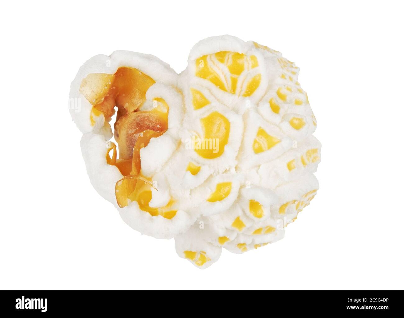 macro of an one popcorn isolated on white background with clipping path ...
