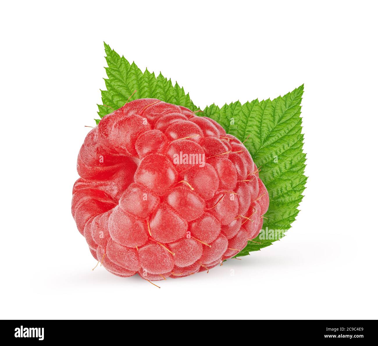 Raspberry with leaves isolated on white background with clipping path ...