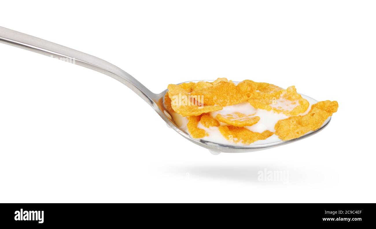 Cornflakes in a spoon. Corn flakes with milk isolated on white ...