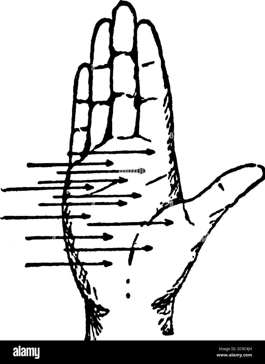 Right Hand Palm Drawing
