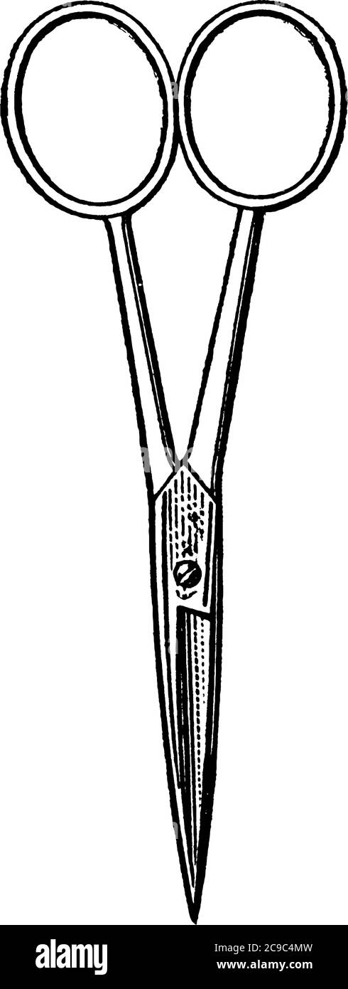 Dissection scissors Stock Vector Images - Alamy