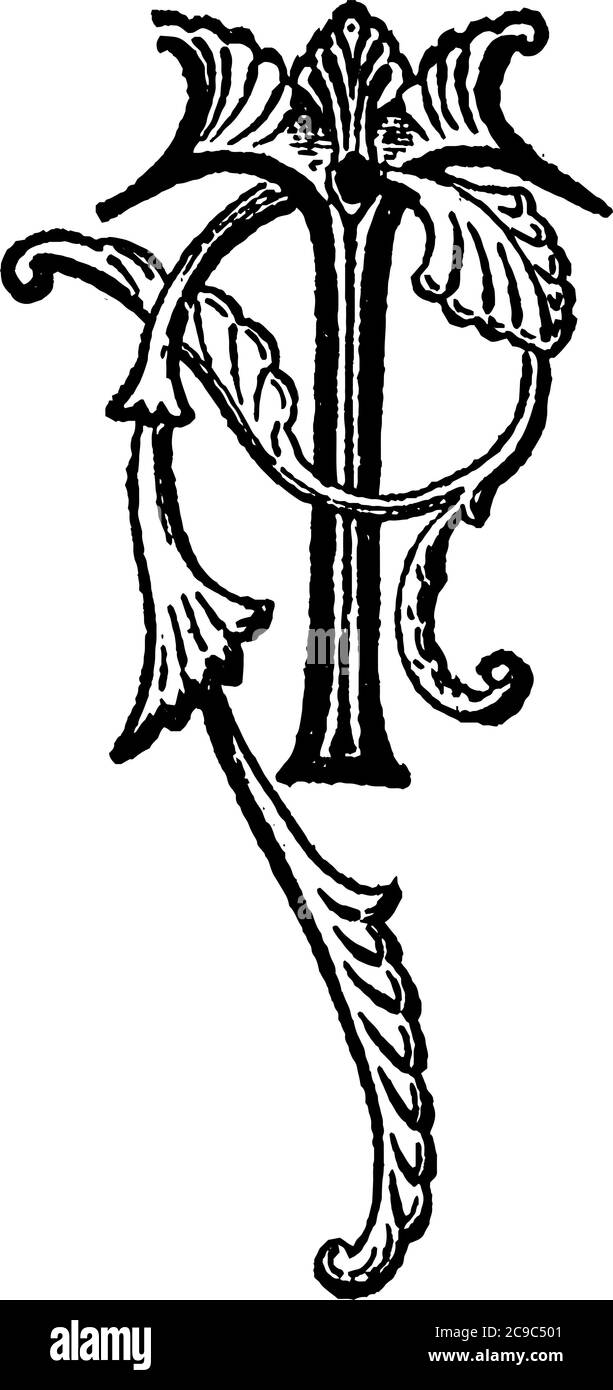 A decorate piece of T oriented design, vintage line drawing or ...