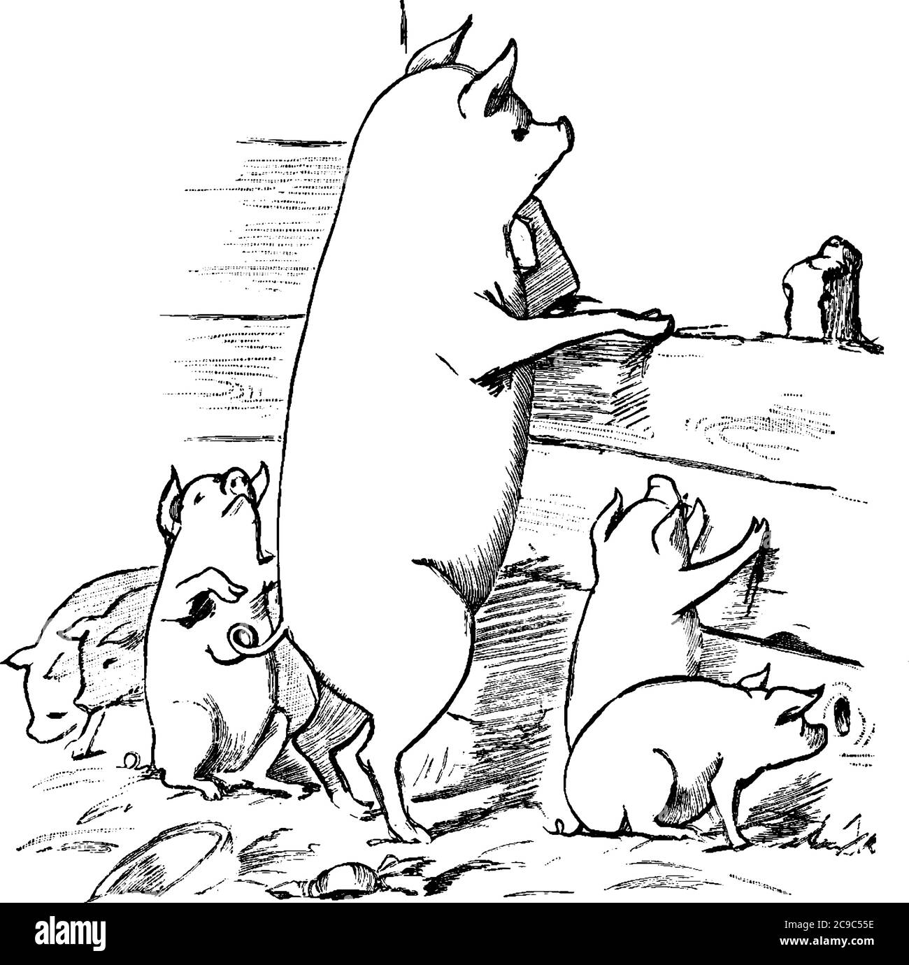 Pig in sty Stock Vector Images - Alamy