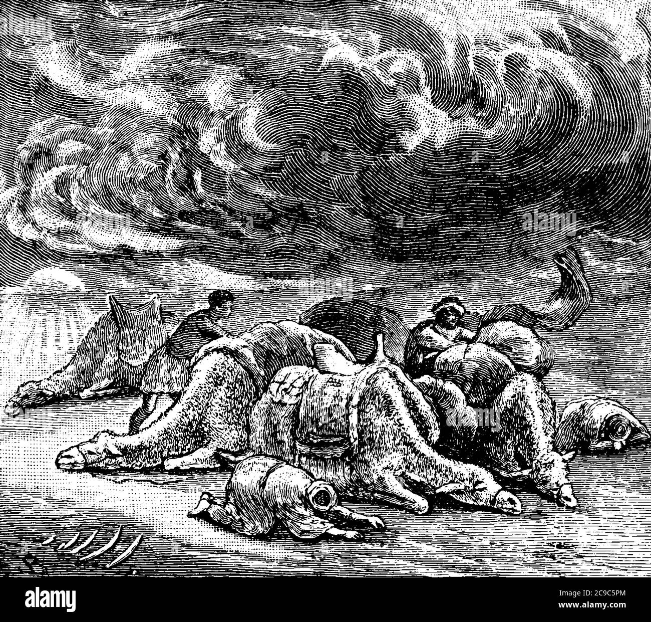 Image showing sand storm in desert where camels are lying down, vintage ...