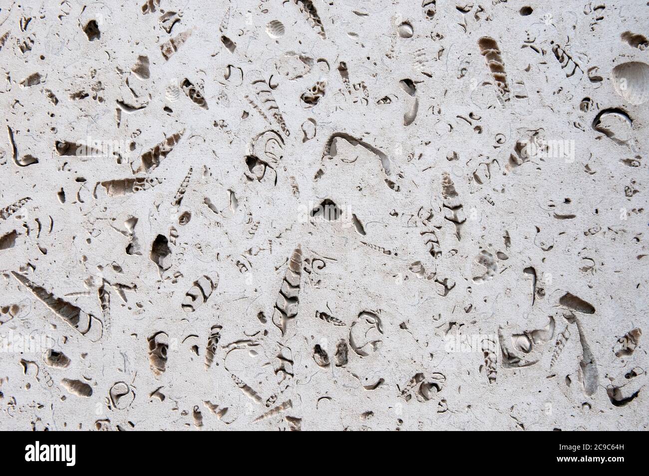 A Close Up Of An Exterior Wall Of A Building In London Showing The Sea ...