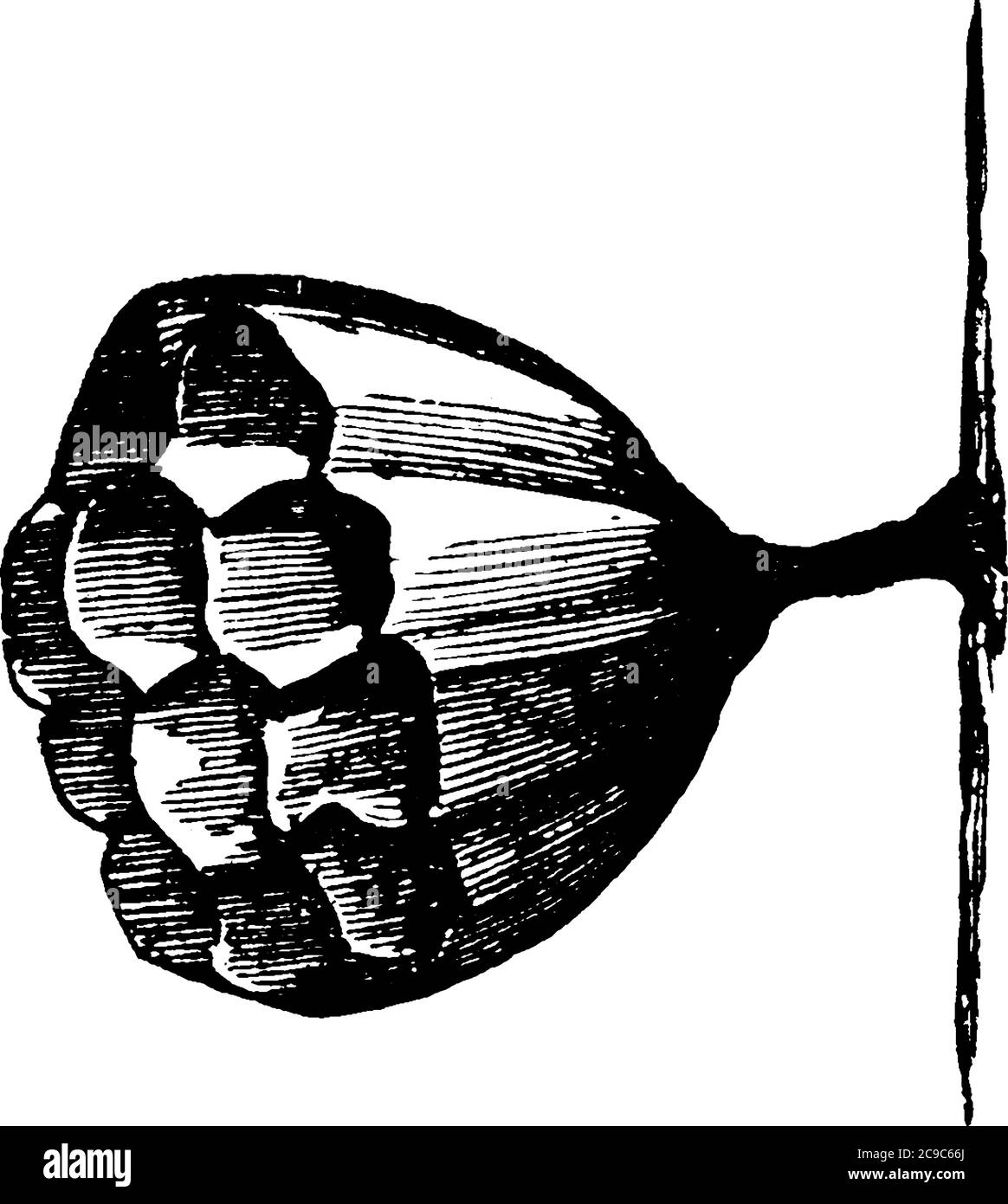 Tubes shaped Black and White Stock Photos & Images - Alamy