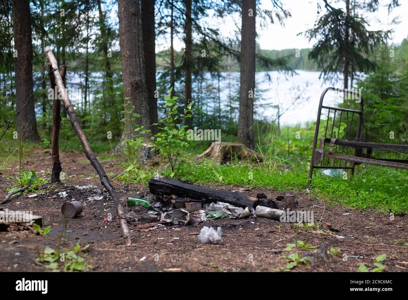 Pollution in forest litter hi-res stock photography and images - Alamy