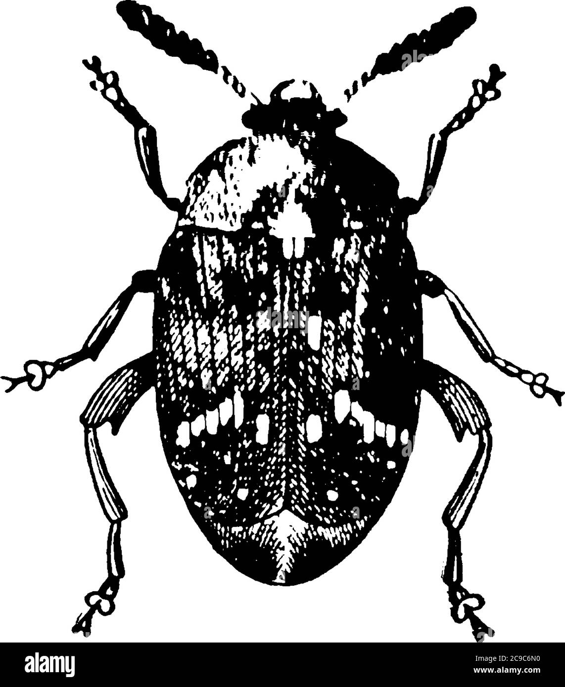 Adult co Cut Out Stock Images & Pictures - Alamy