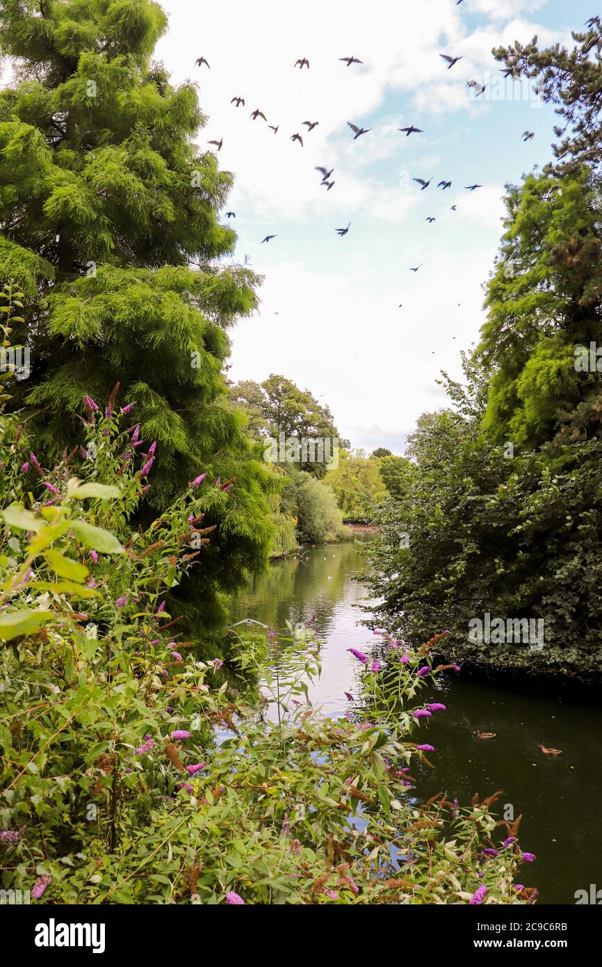 A beautiful English park in Wolverhampton on a sunny day. A great place ...