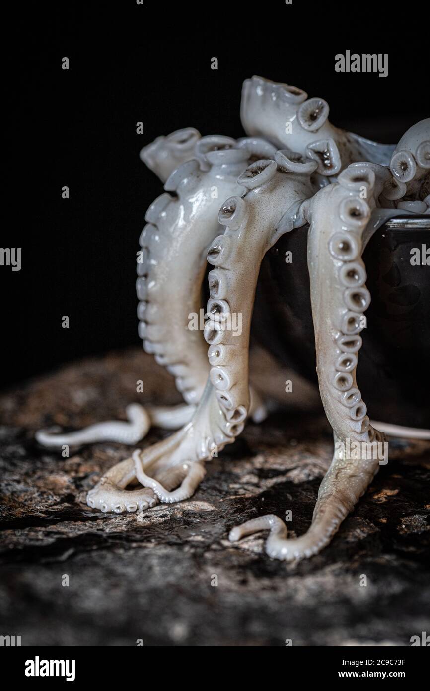 Octopus still life with garlic Stock Photo - Alamy