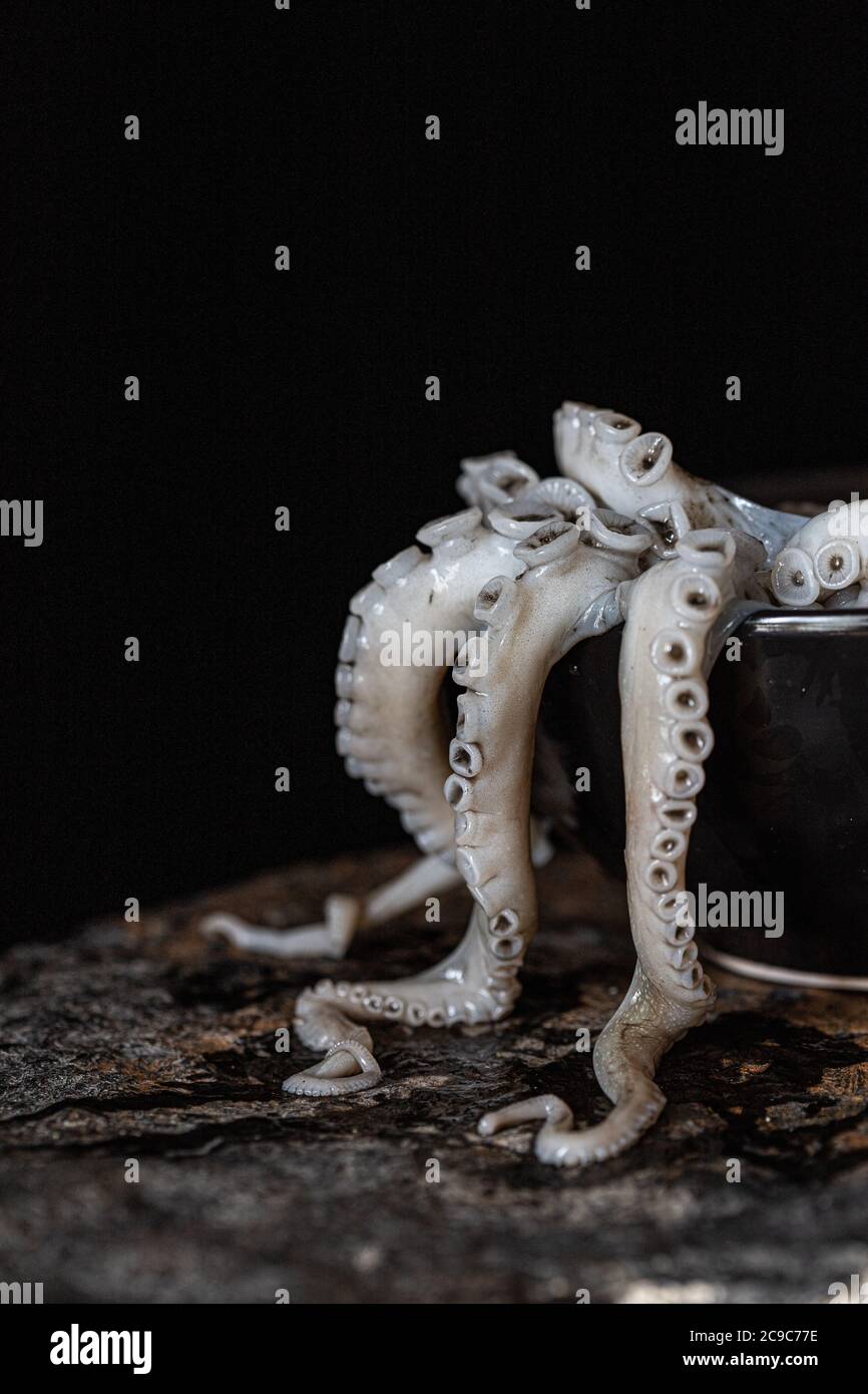 Fresh octopus arms with suckers Stock Photo - Alamy