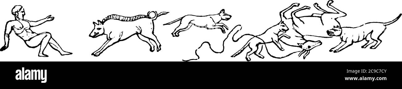 Venatio Stock Vector Images - Alamy