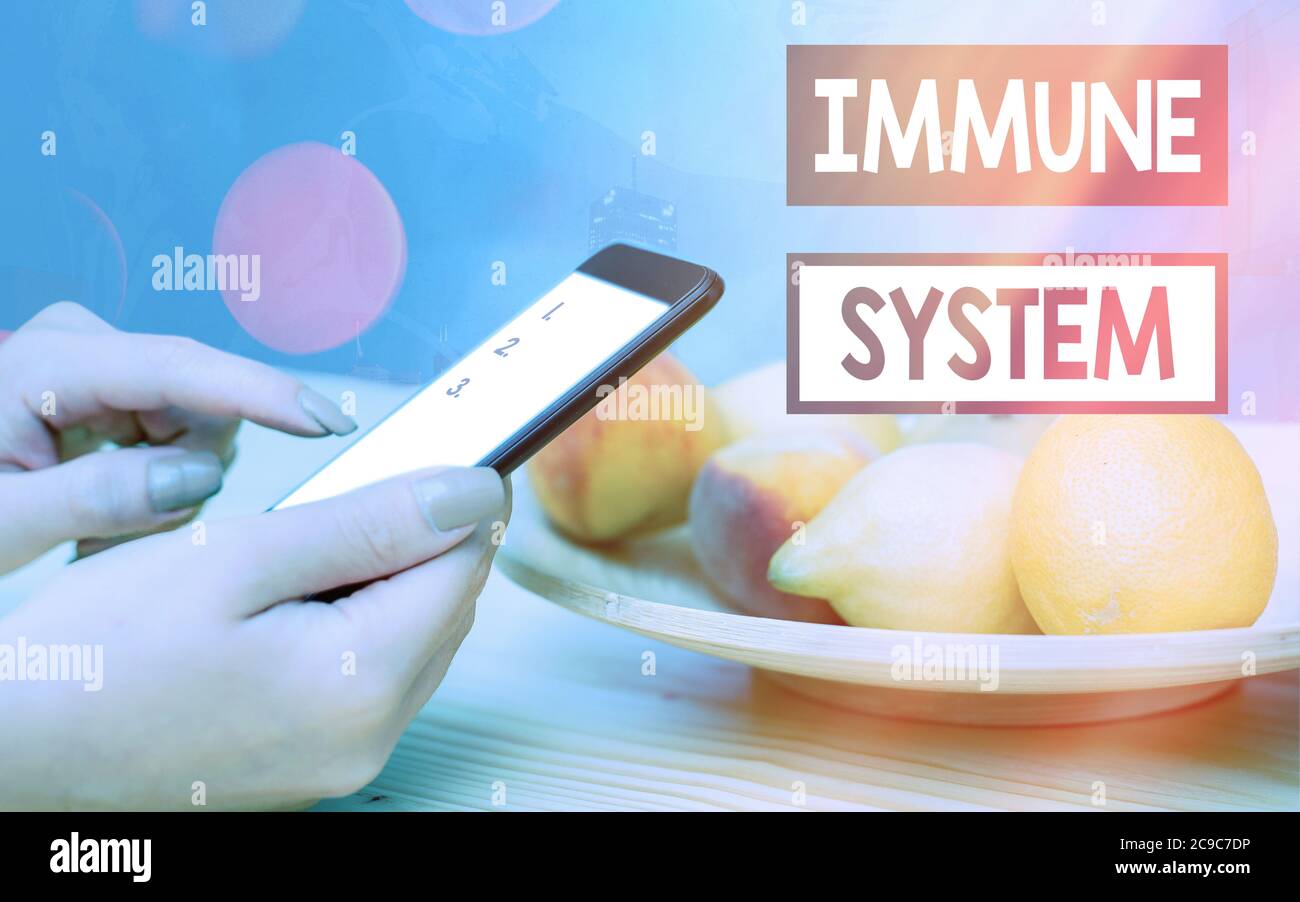 Handwriting text Immune System. Conceptual photo a bodily system that protects the body from ...