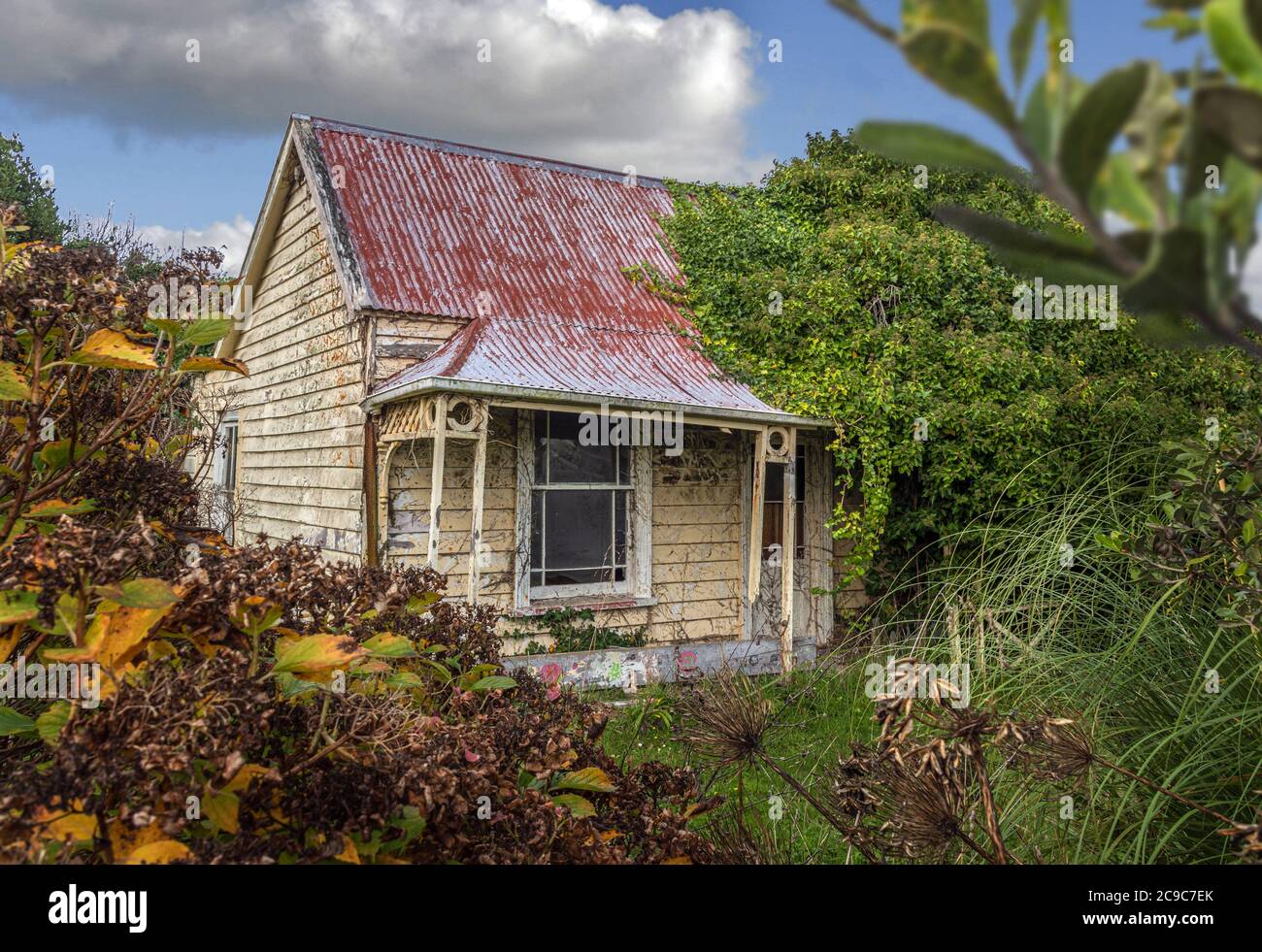 An overgrown, abandoned early 20th century New Zealand wooden home, An ...
