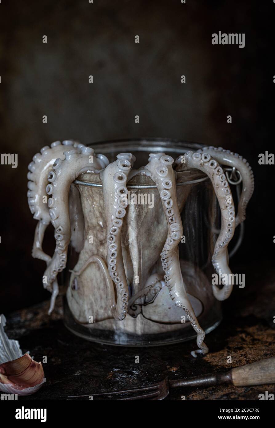 Octopus still life with garlic Stock Photo - Alamy