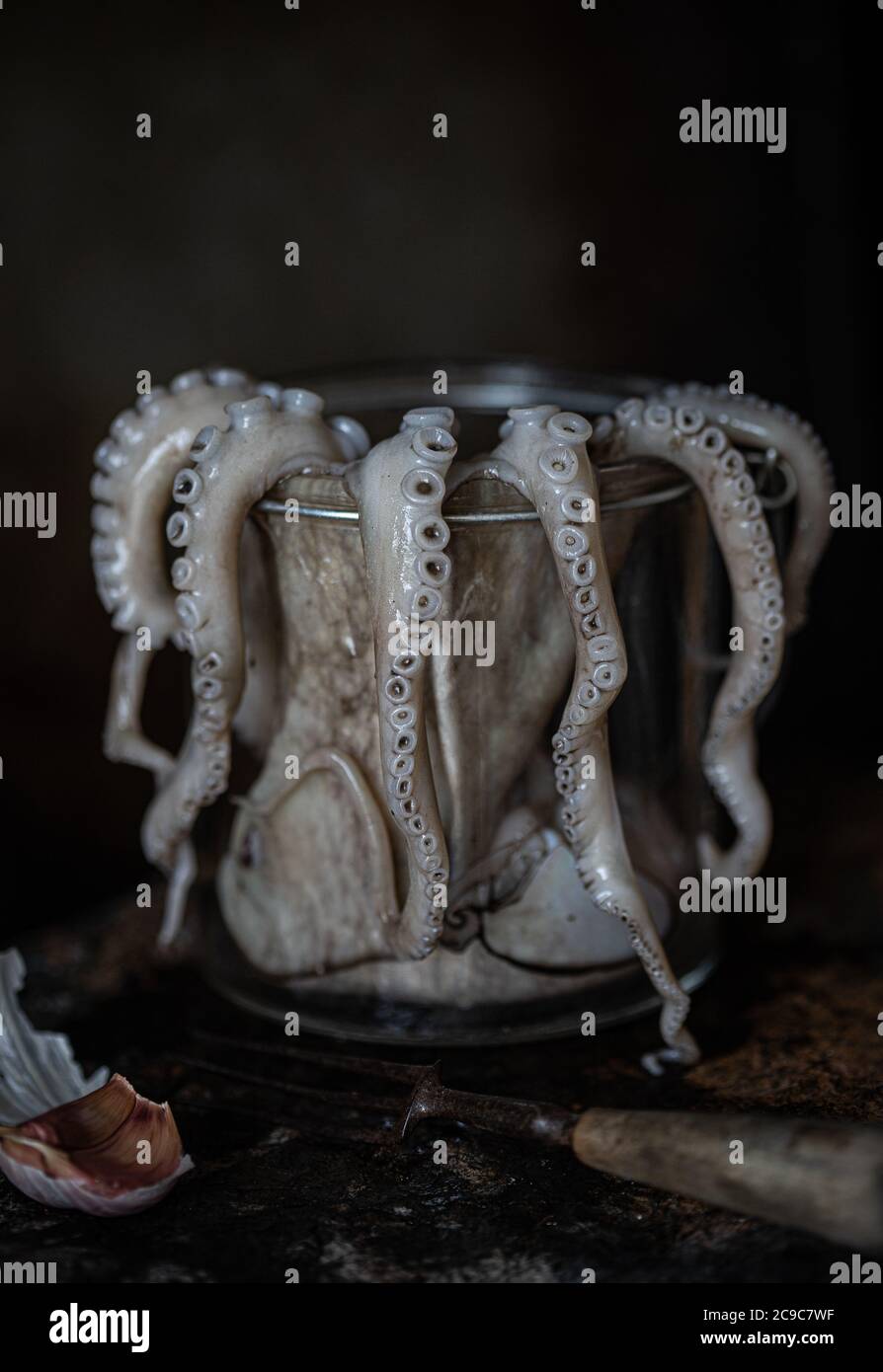 Octopus still life with garlic Stock Photo - Alamy