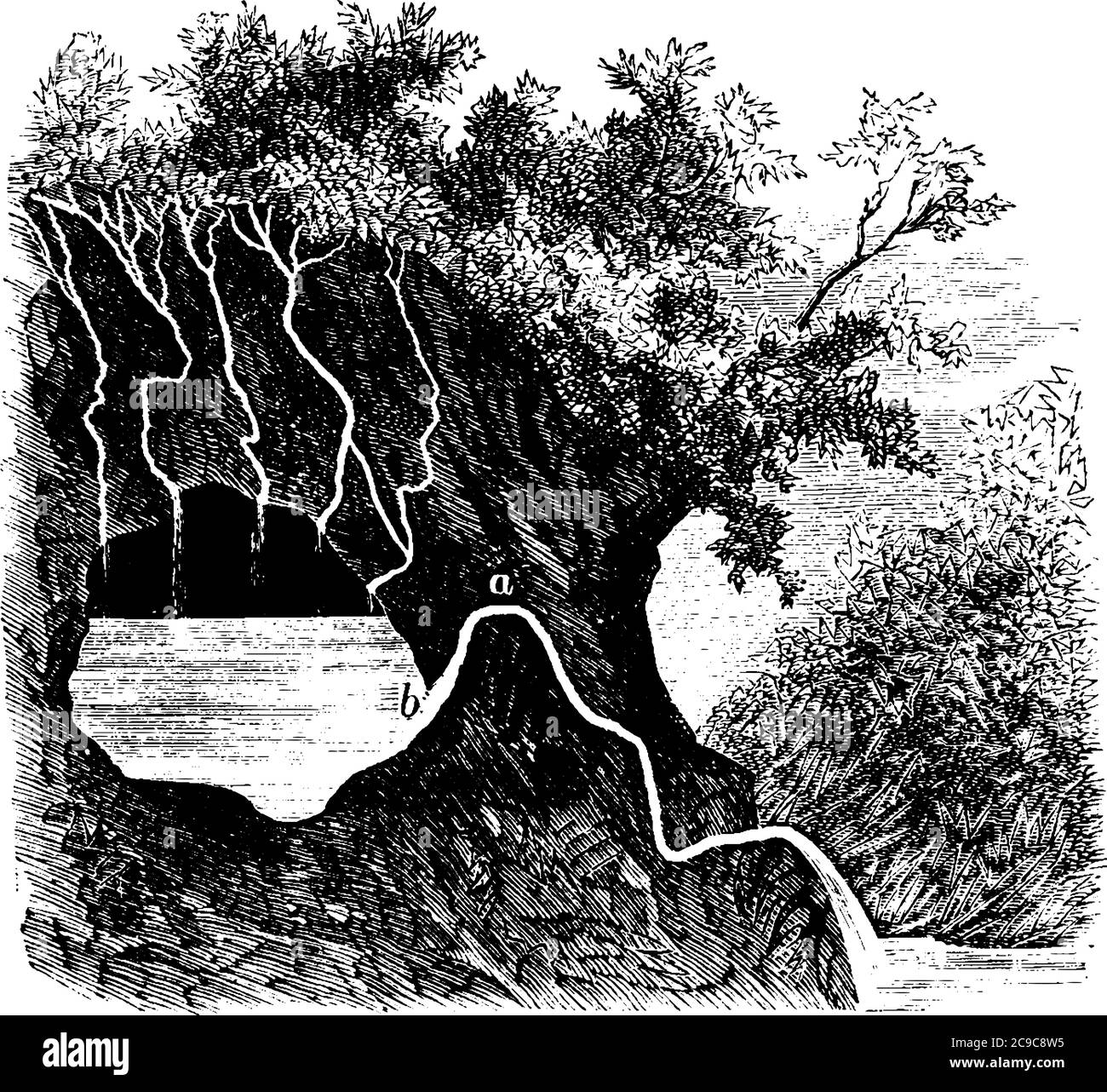 Tributaries Stock Vector Images - Alamy