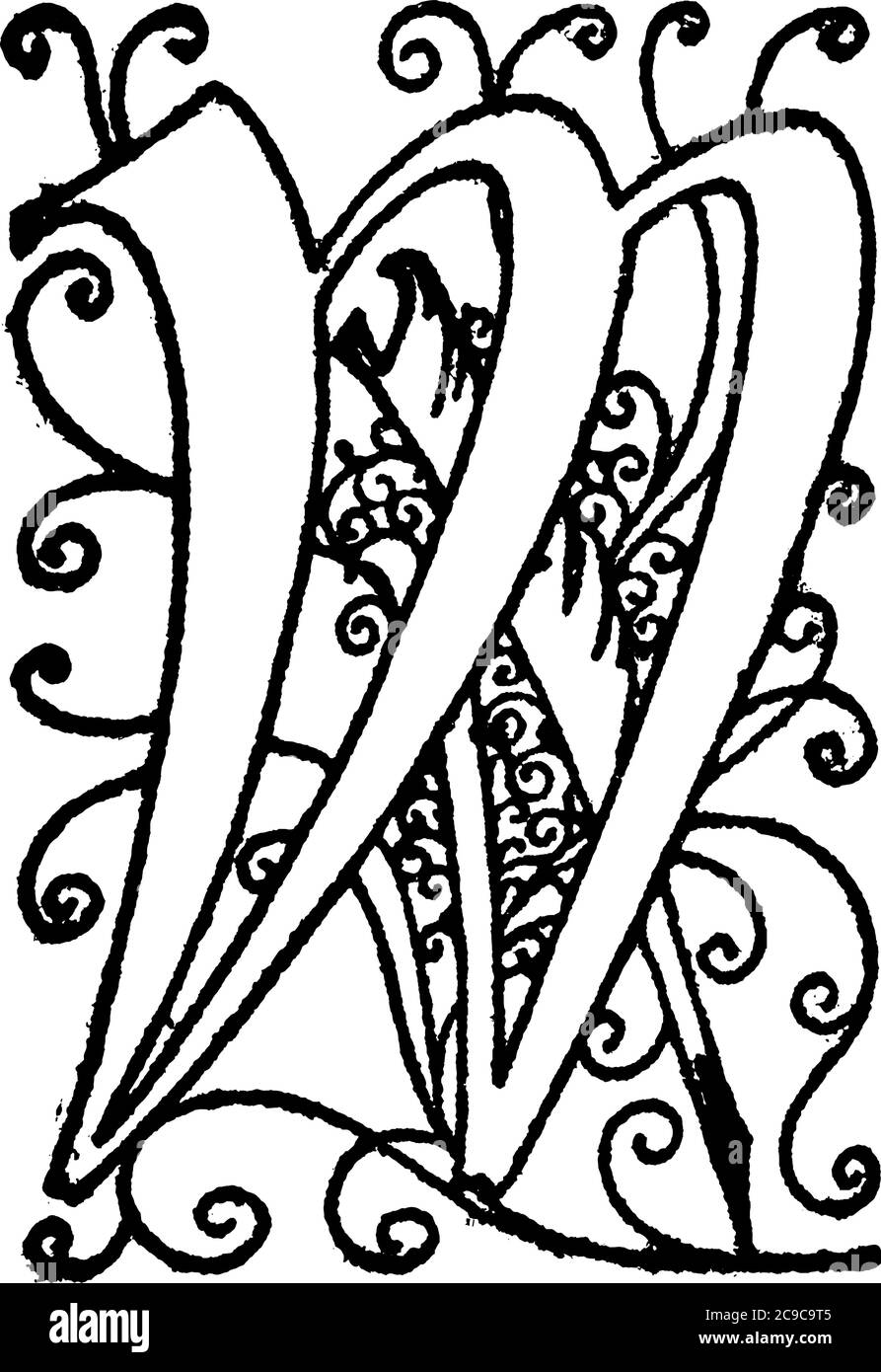 Decorative letter 'w', vintage line drawing or engraving illustration ...