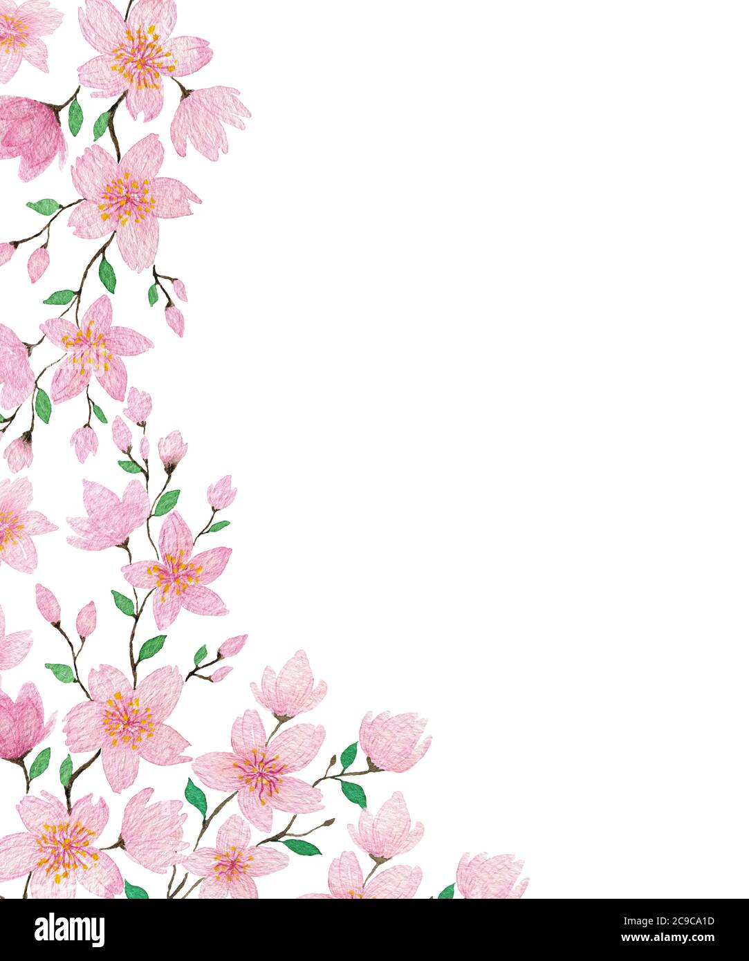 Cherry Flower Border Design Cherry Blossom Border Vector Design