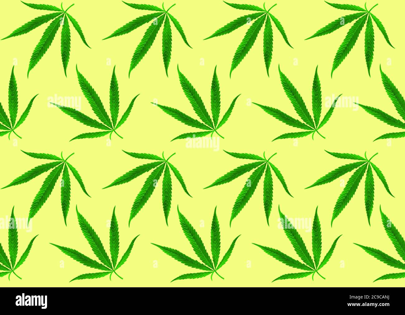 Green cannabis leaves pattern hi-res stock photography and images - Alamy
